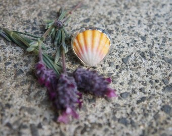 Sunrise shell | Etsy