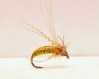 buggy caddis fly fly fishing fishing emerger insects