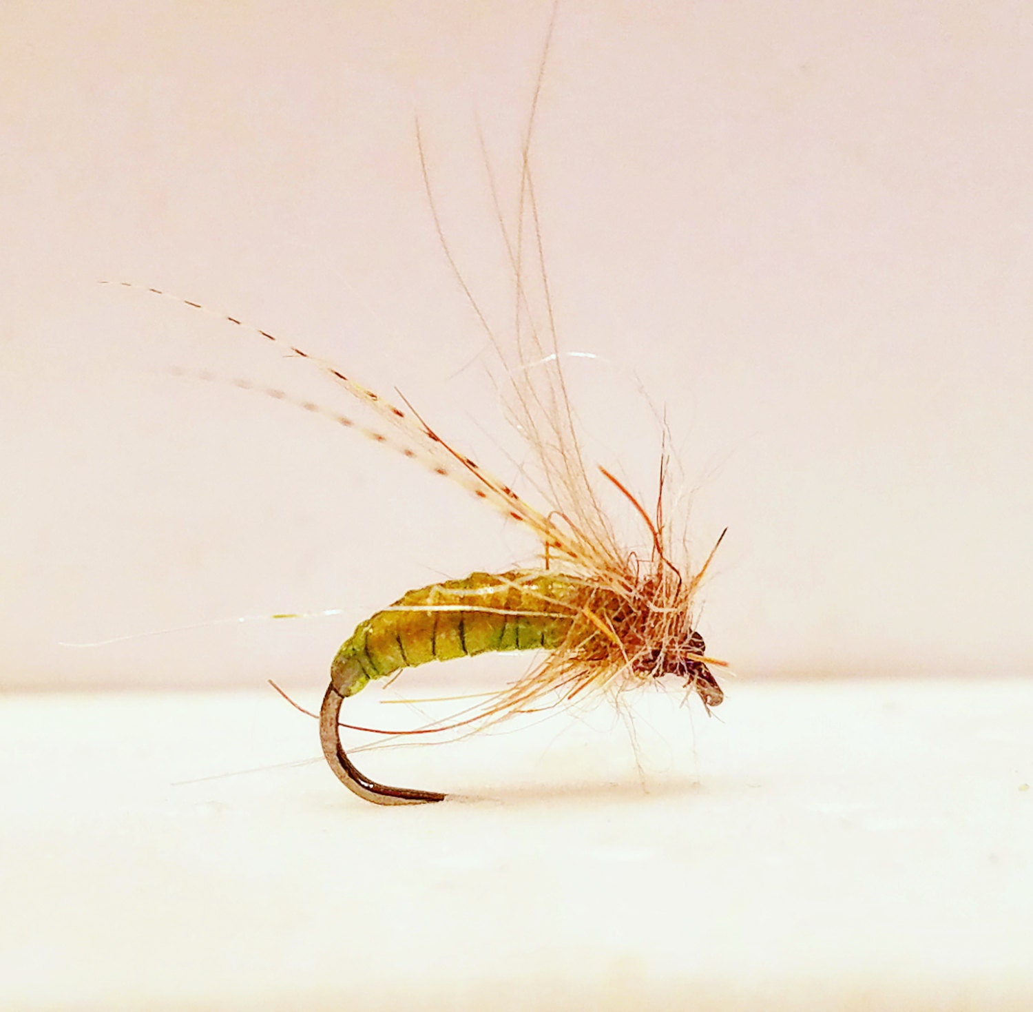caddis puppa fly fishing flies caddis pupa trout trout