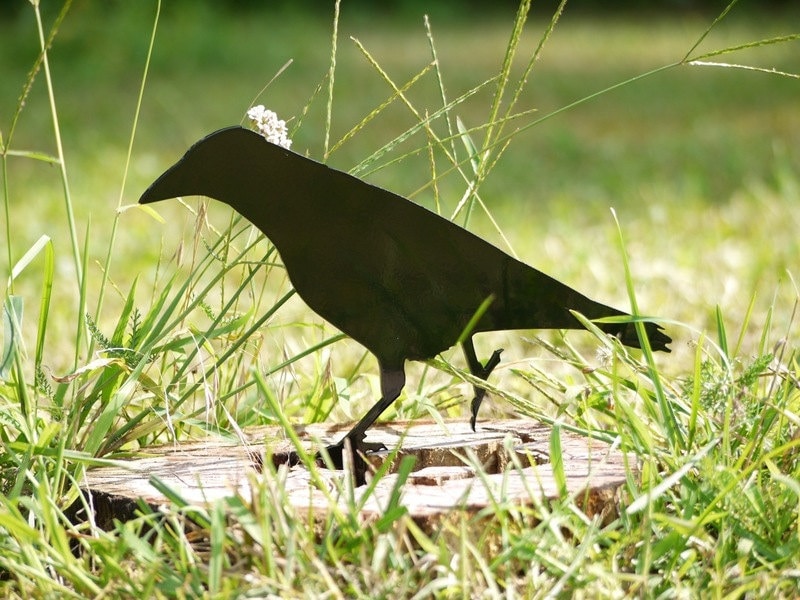 Garden Crow Yard Art, Raven Bird - Lawn Ornament
