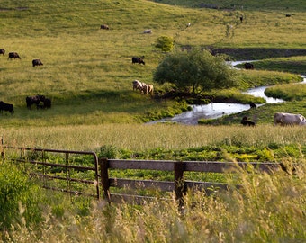 Midwest landscape | Etsy