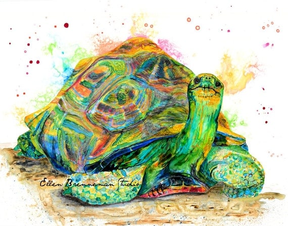 Tortoise art print colorful tortoise turtle art print