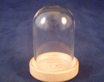 Mini Plastic Dome Pendant Small Terrarium Domes Tiny Display
