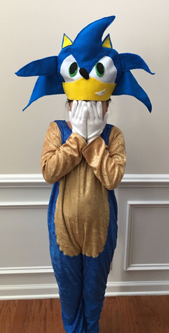 Sonic the hedgehog costume.