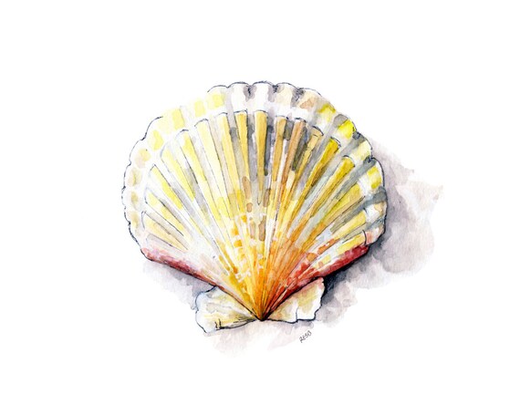 Seashell Painting 2 Print from Original Watercolor Painting