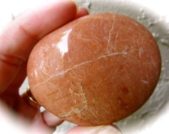 Unique madagascar palm related items | Etsy