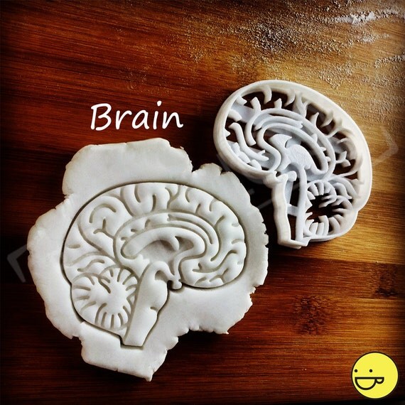 Anatomical Brain cookie cutter Heart cookies cutters