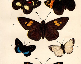 Butterfly engraving | Etsy