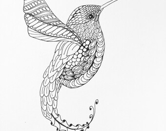 Hummingbird illustration fine line artwork black and white