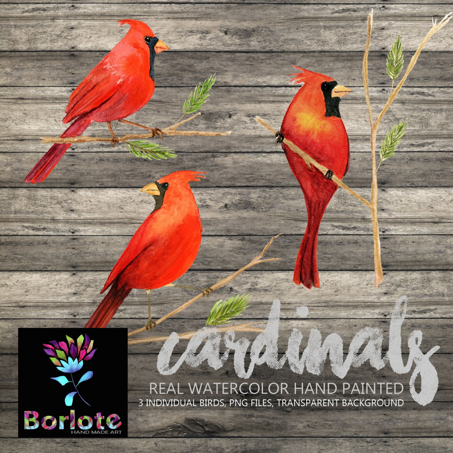 Cardinals Watercolor Cardinals red Birds clip art