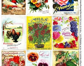 Vintage seed packets | Etsy
