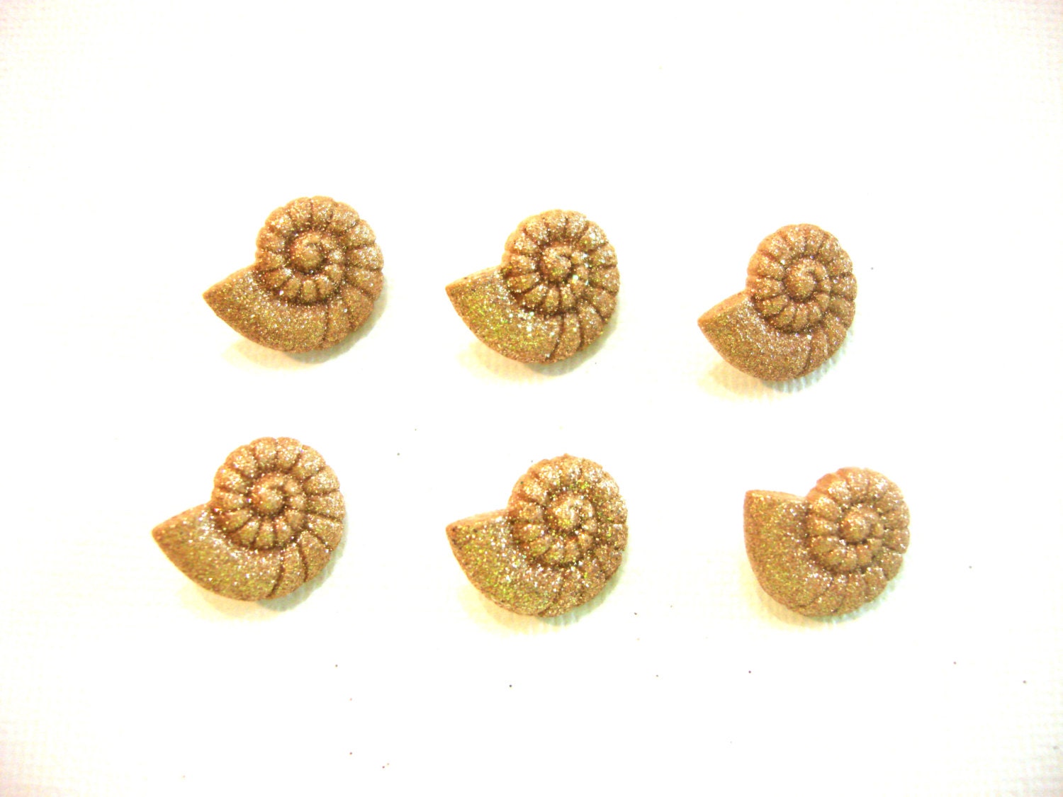 Sea Shells Buttons Seashells Jesse James Buttons Splish Splash