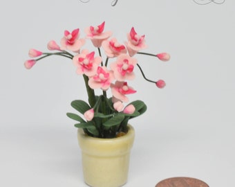 Unique orchid pot related items | Etsy