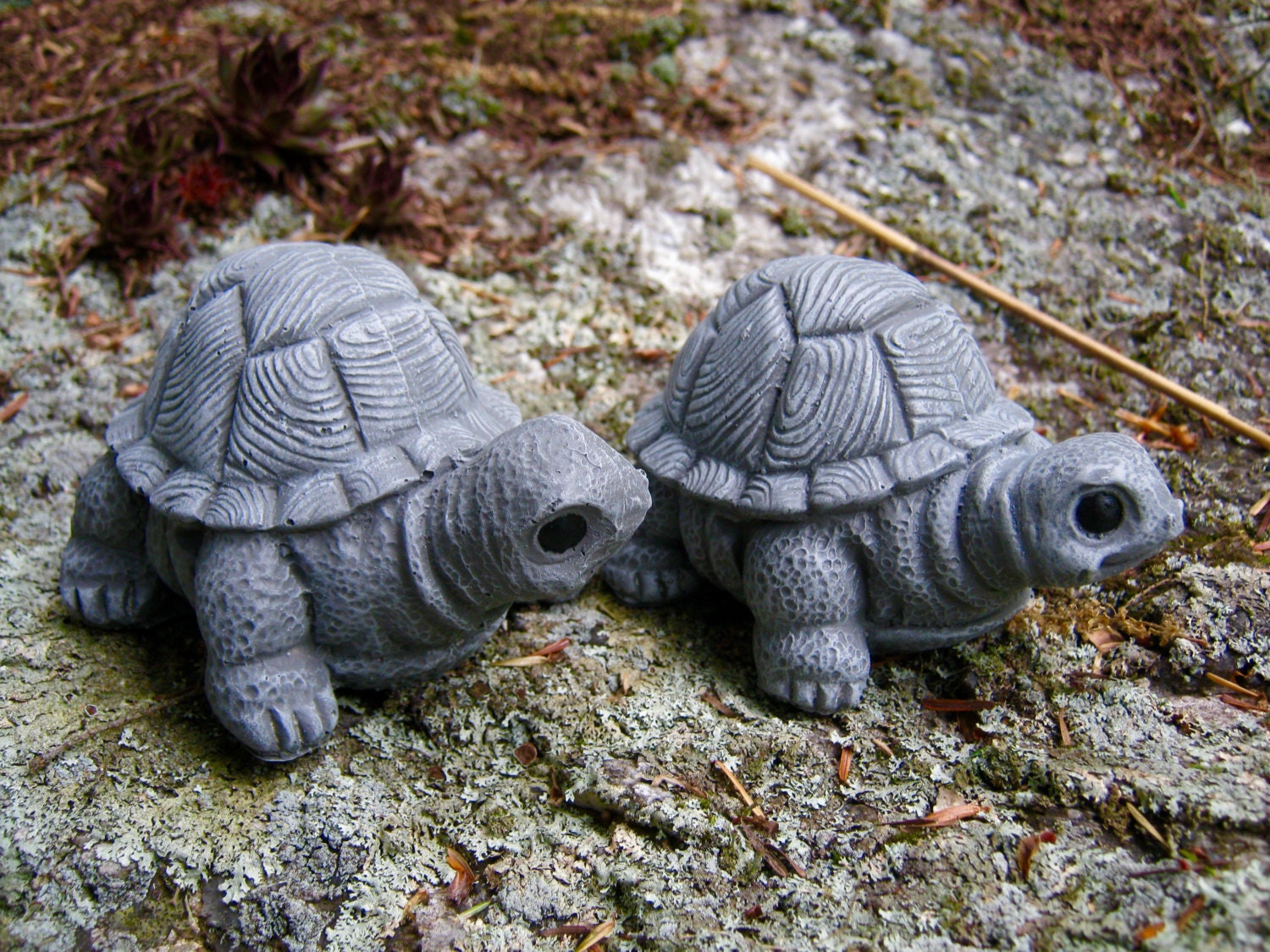 Turtle Statue Family Turtles Concrete by WestWindHomeGarden