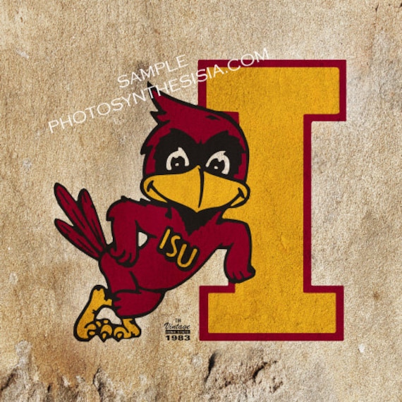 Iowa State University Vintage Leaning Cy Coasters