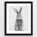 Rabbit Print Nursery Animal Wall Art Woodlands Animals