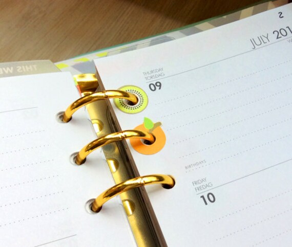 Planner/Binder page reinforcements