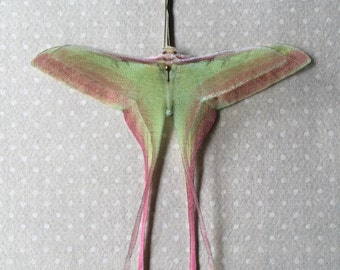 Luna moth pin | Etsy