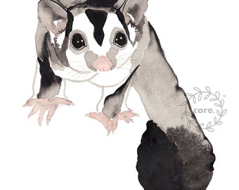 Sugar glider art | Etsy