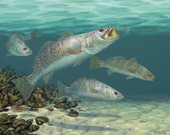 Saltwater fish art | Etsy