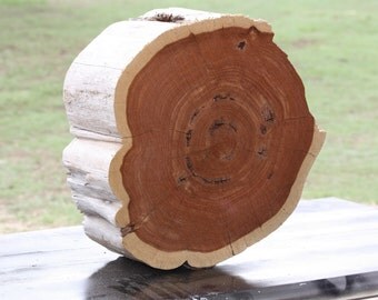 Log cake stand | Etsy