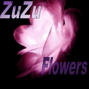 ZuZu Flowers the Light-up LED Hair Clip by LEDlutions on Etsy