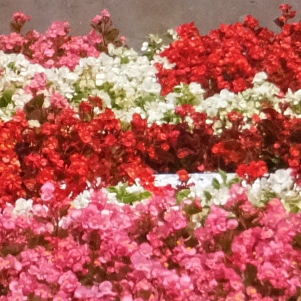 Cards Toys and Skin Care by FlossFlowersandCraft on Etsy