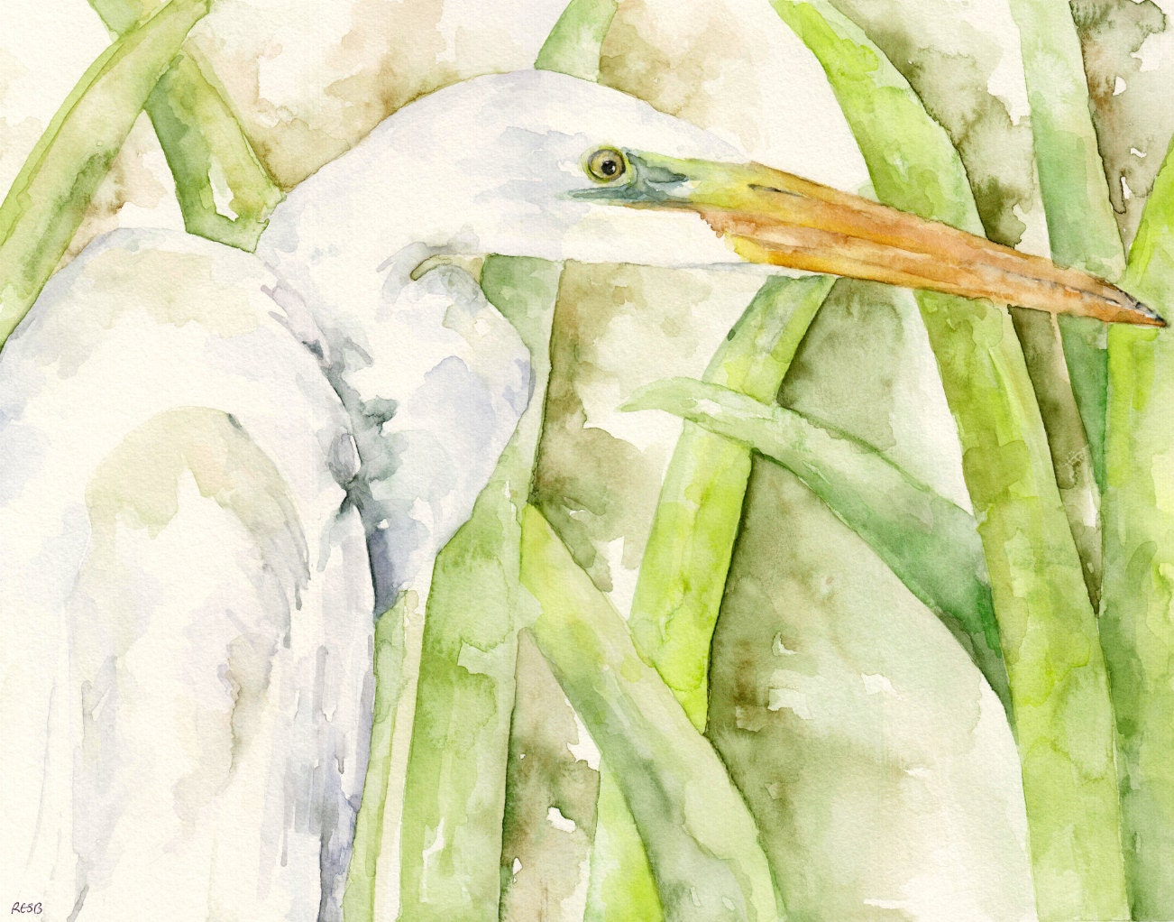 Egret Painting Print from Original Watercolor Painting