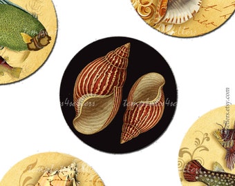 Shell stencils | Etsy