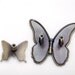 Butterfly Knobs Pulls Drawer Dresser Knobs Pulls Kitchen