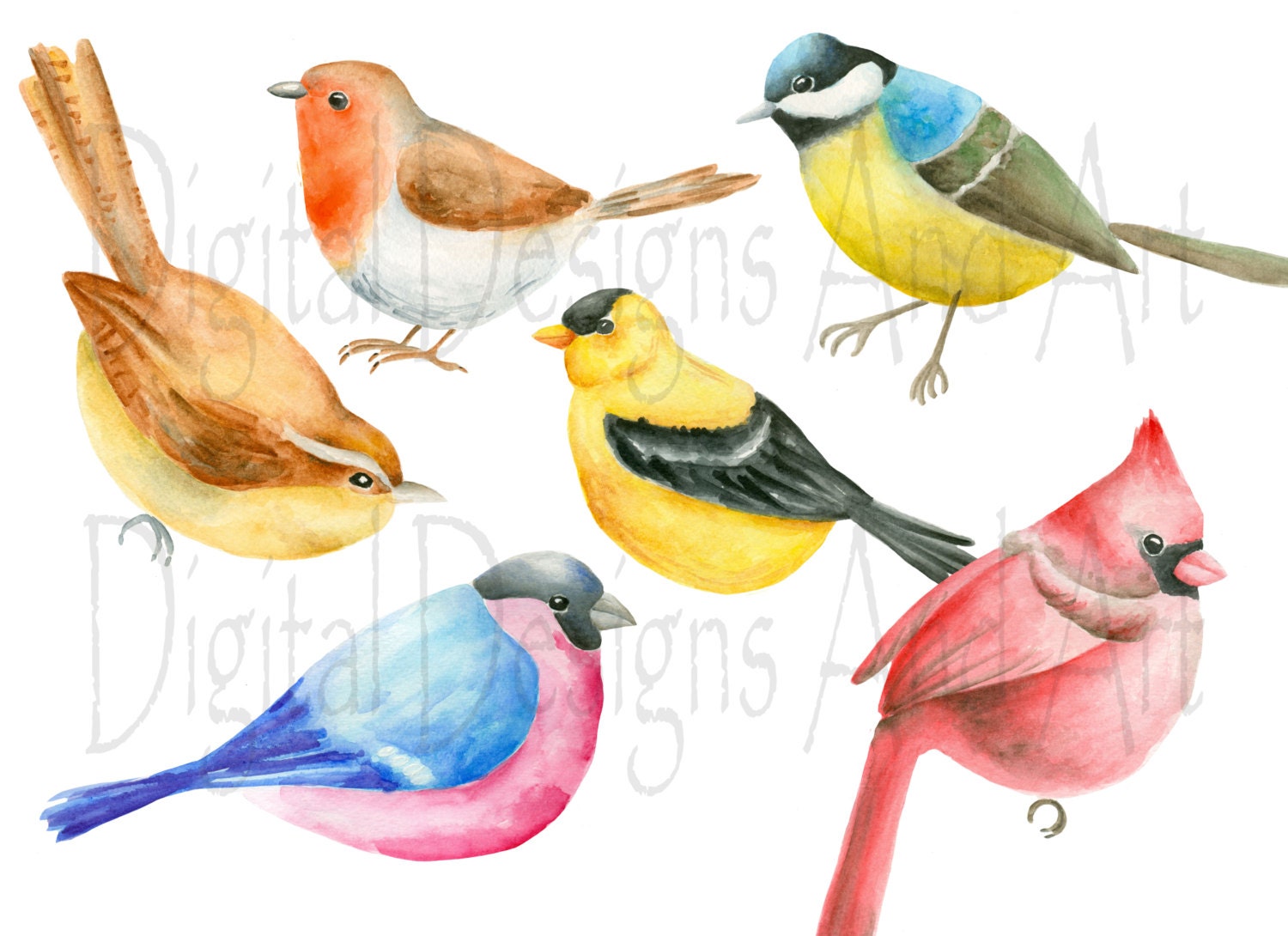 Bird clipart Watercolor birds clip art Hand painted birds