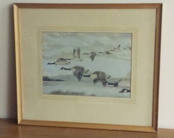 Canada geese art | Etsy