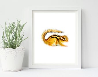 Chipmunk art | Etsy