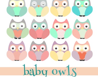 Baby owl clip art | Etsy