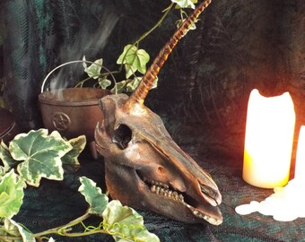 Unicorn skull | Etsy