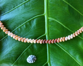 Cone Shell Necklace Pikake Weaved Kauai Made by KauaiShellsandMore