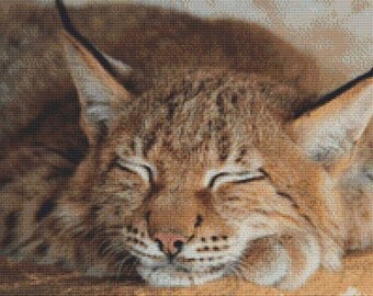 Bobcat pattern | Etsy
