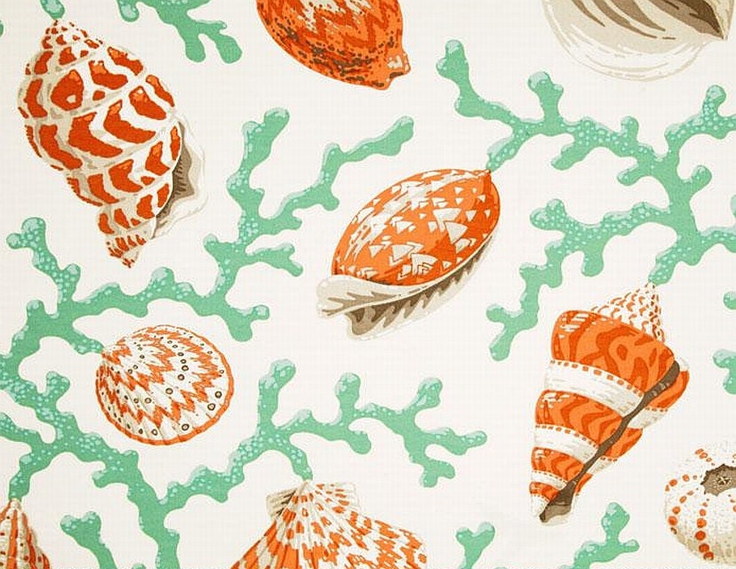 Aqua and Coral Seashell Fabric indoor Outdoor Fabric Coastal