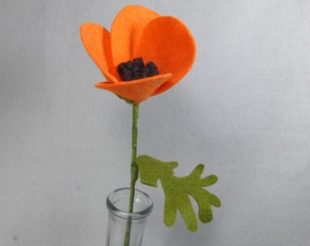 California poppy | Etsy