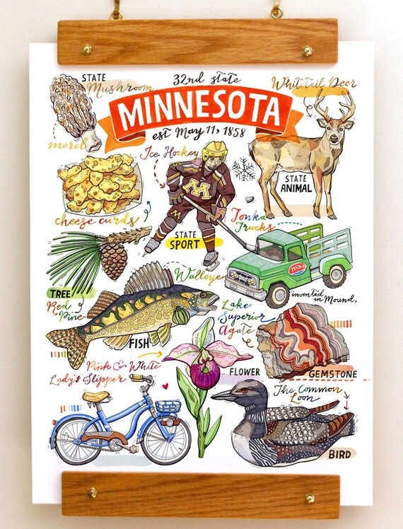 Minnesota State print. Illustration. Map. State symbols. Bird.
