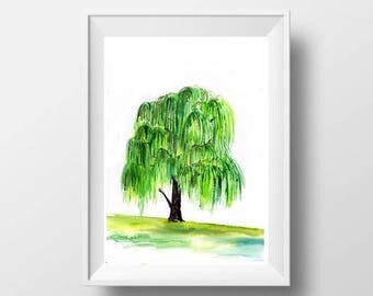 Weeping willow tree | Etsy
