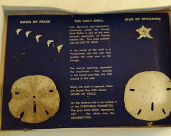 Ghost in the shell | Etsy