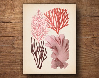 Seaweed art | Etsy