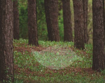 Forest backdrop | Etsy