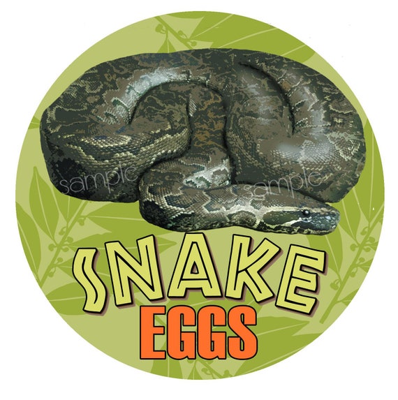 Reptile party,Snake stickers,Reptile Birthday party favors,Snake favor ...