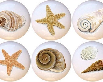 Seashell drawer pull | Etsy