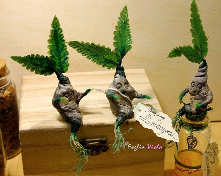 MANDRAKE root apothecary Hogwarts herbology harry potter magic