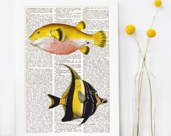 Whimsical fish art | Etsy