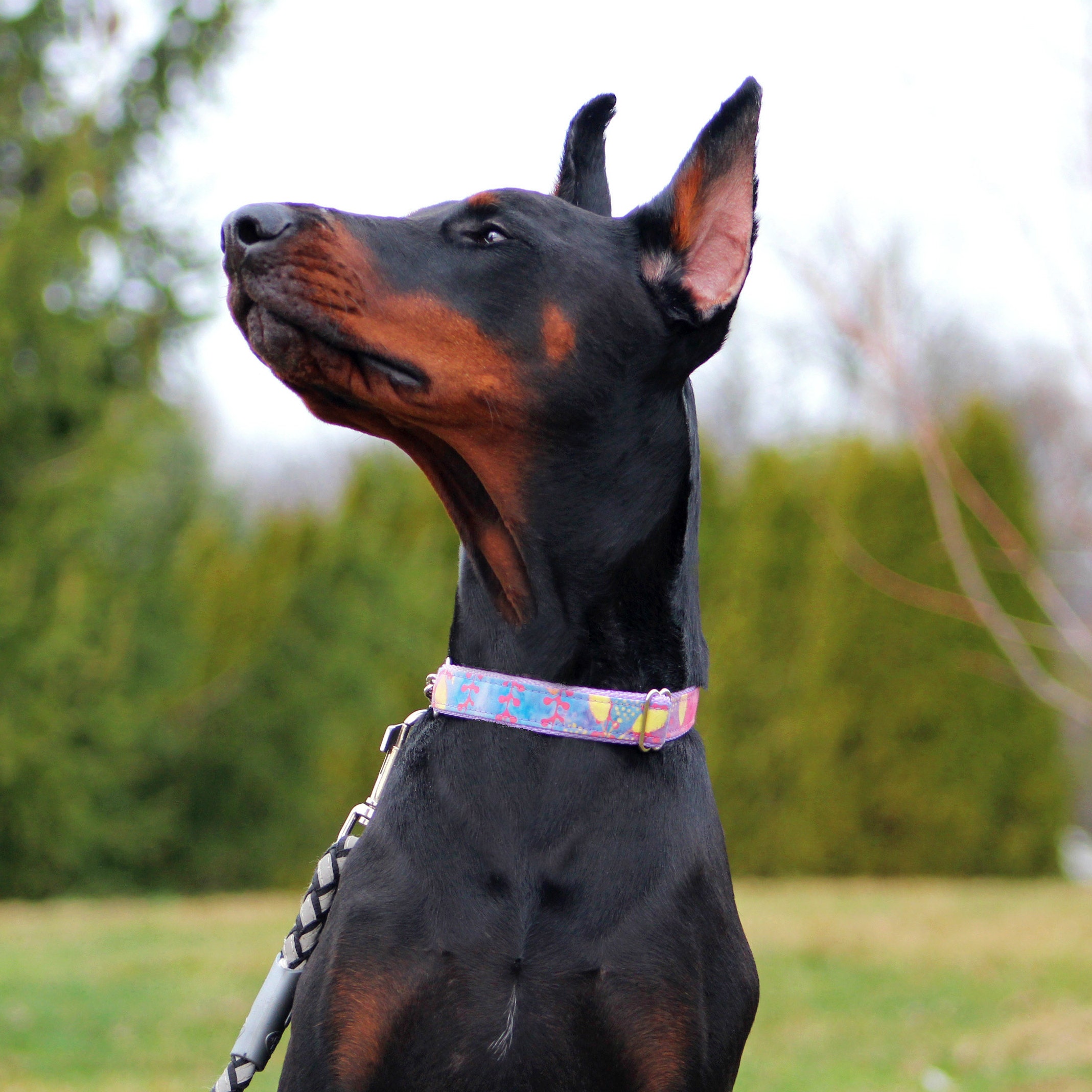 Unique Handmade Dog Collars by DreamNDesign on Etsy