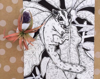 Sugar glider art | Etsy